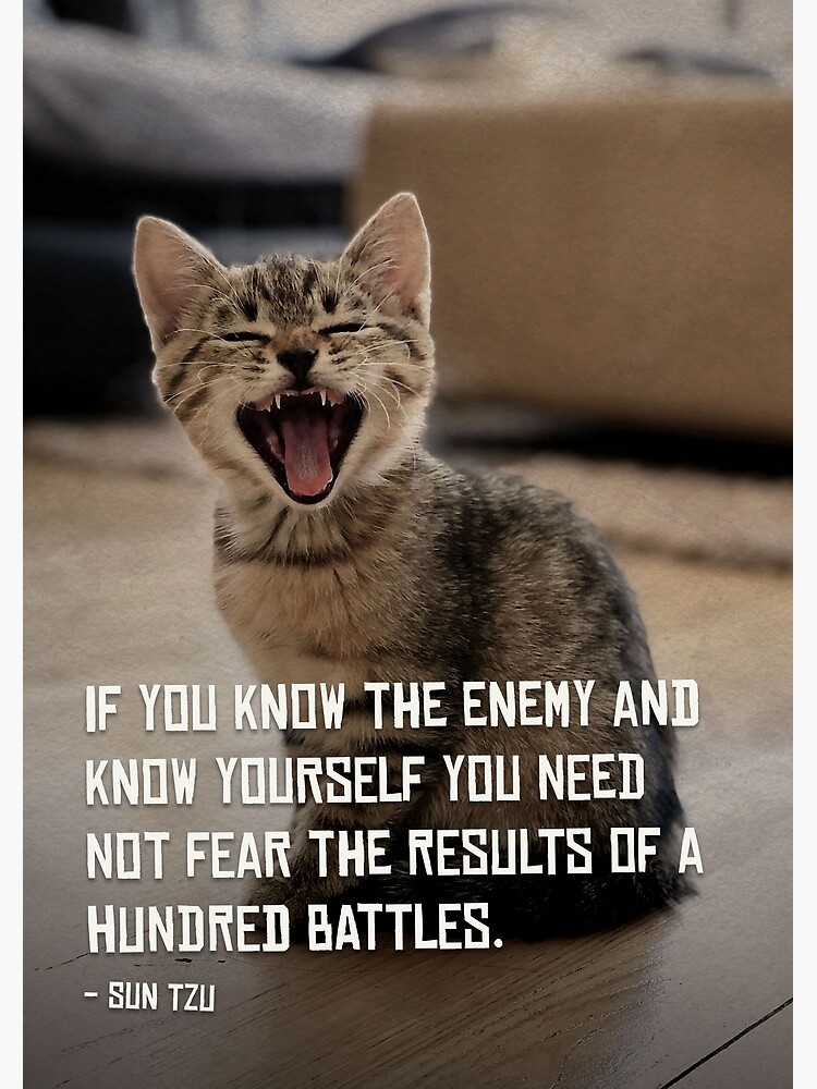 "Sun Tzu Cat Motivational Poster A2" Poster for Sale by PeterGDesign ...