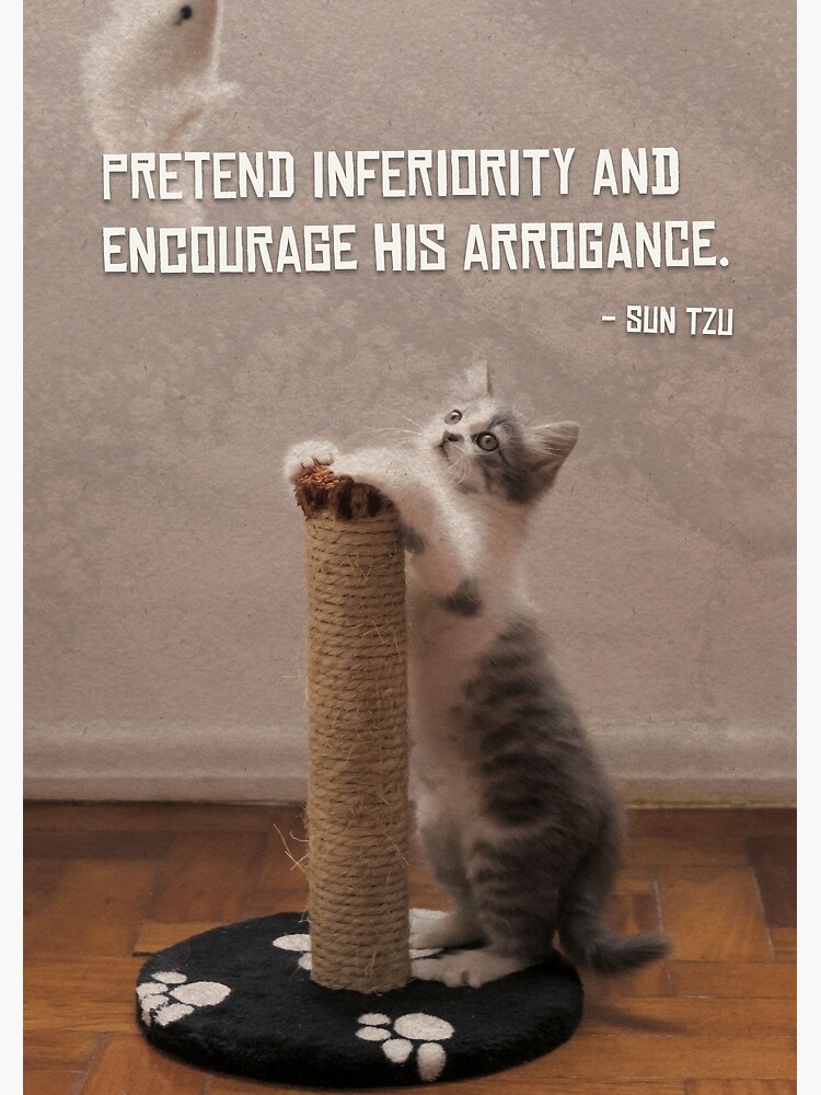 "Sun Tzu Cat Motivational Poster A2" Art Print for Sale by PeterGDesign ...