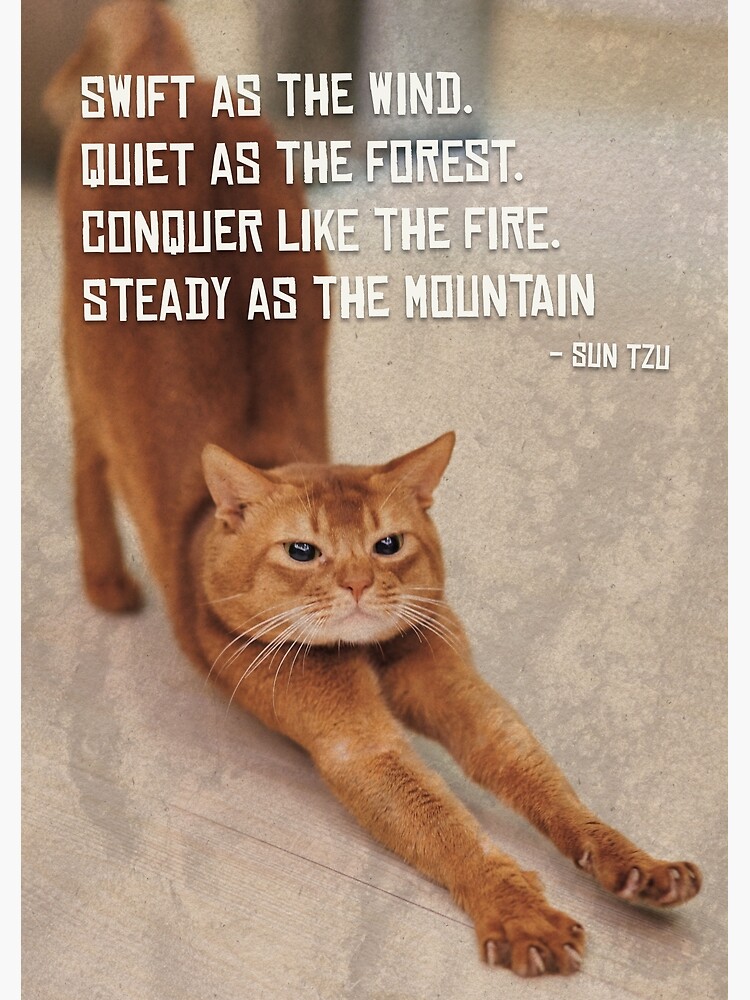 "Sun Tzu Cat Motivational Poster A2" Poster for Sale by PeterGDesign ...