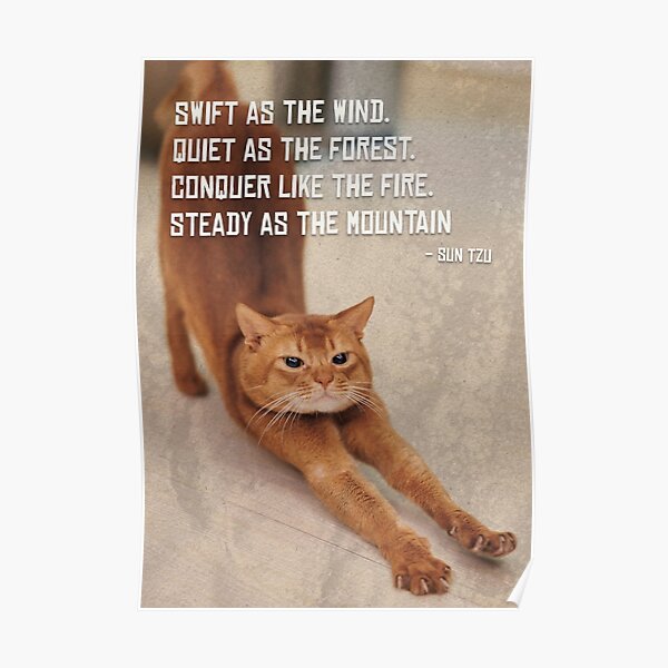 "Sun Tzu Cat Motivational Poster A2" Poster for Sale by PeterGDesign ...