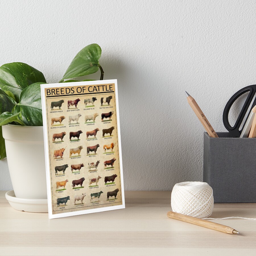 "Breeds Of Beef Cattle Poster" Art Board Print by geraliobened | Redbubble