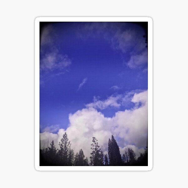 "VHS Pine Forest" Sticker for Sale by PlushyPony | Redbubble