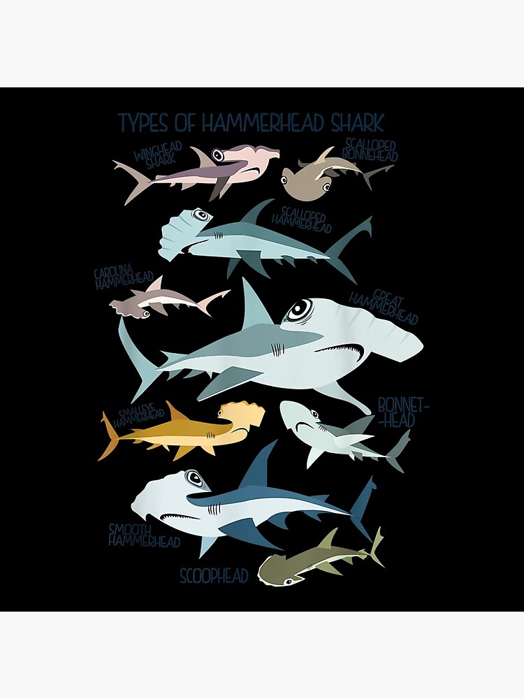"types of HAMMERHEAD shark guide" Poster for Sale by marianaiaoh ...