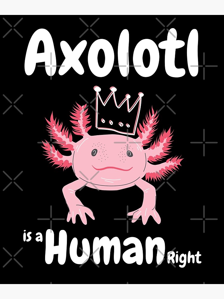 "Axolotl Is A Human Right Shirt" Poster for Sale by zoonix | Redbubble