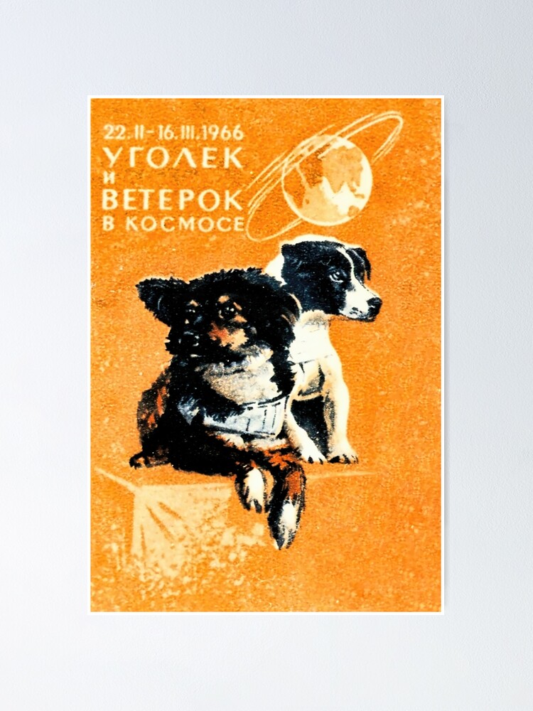 Póster «Ugolyok y Veterok, perros a bordo de la sonda espacial ...