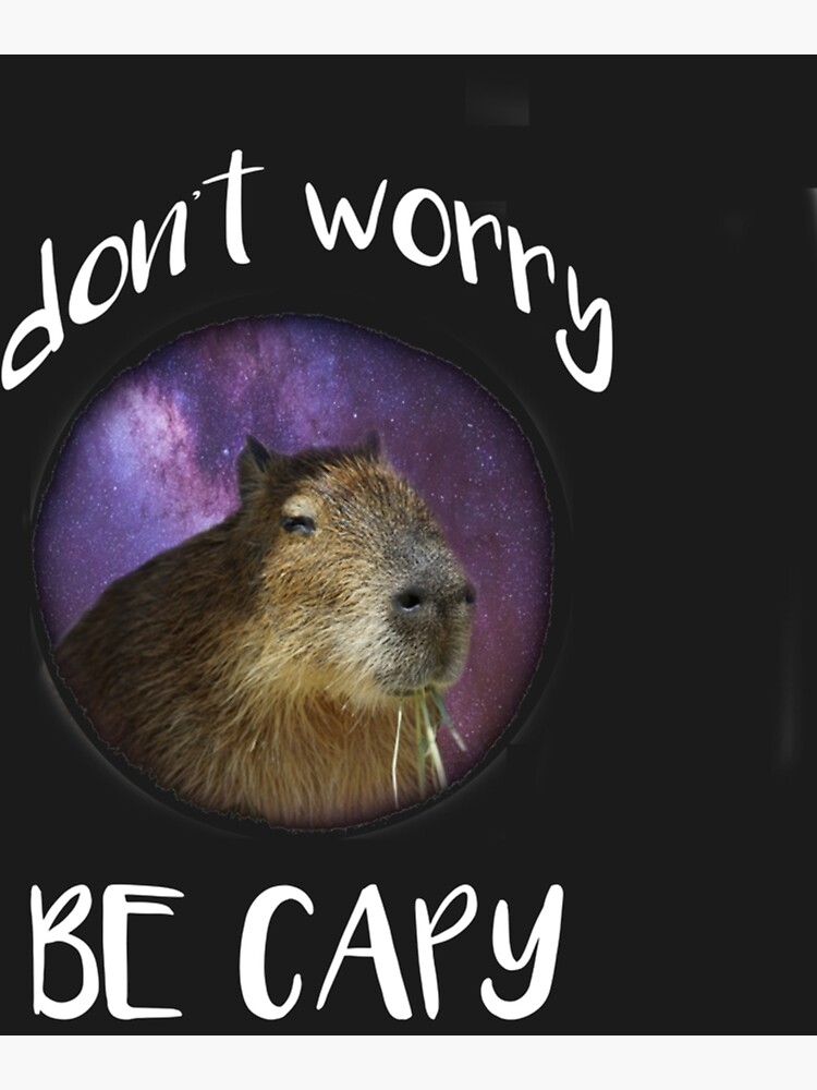"Don_t worry BE CAPY Funny Capybara Funny Capybara Gift Capybara ...