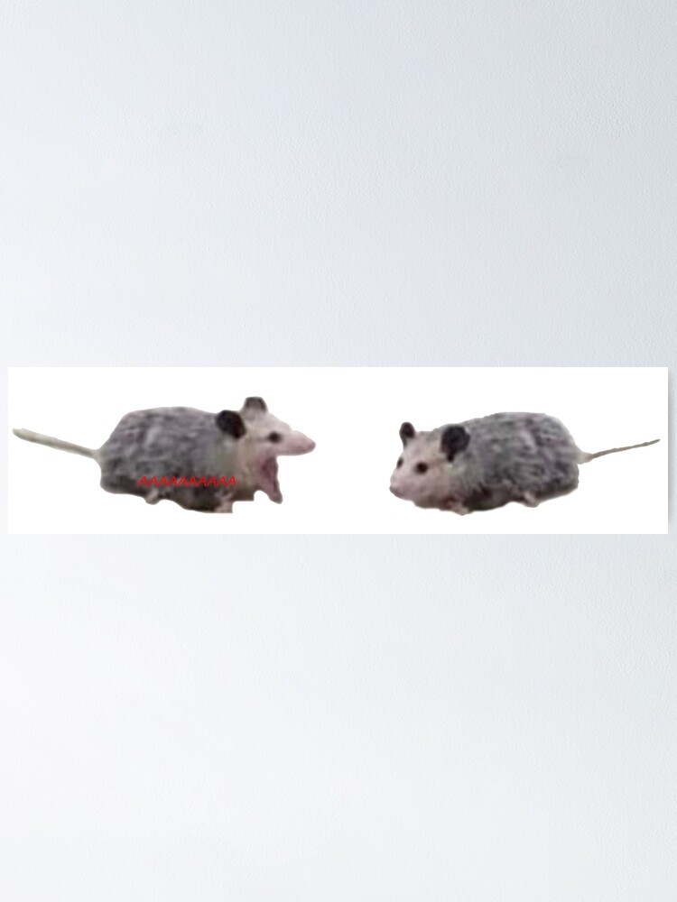 "possum sticker pack" Poster for Sale by CatDealer | Redbubble
