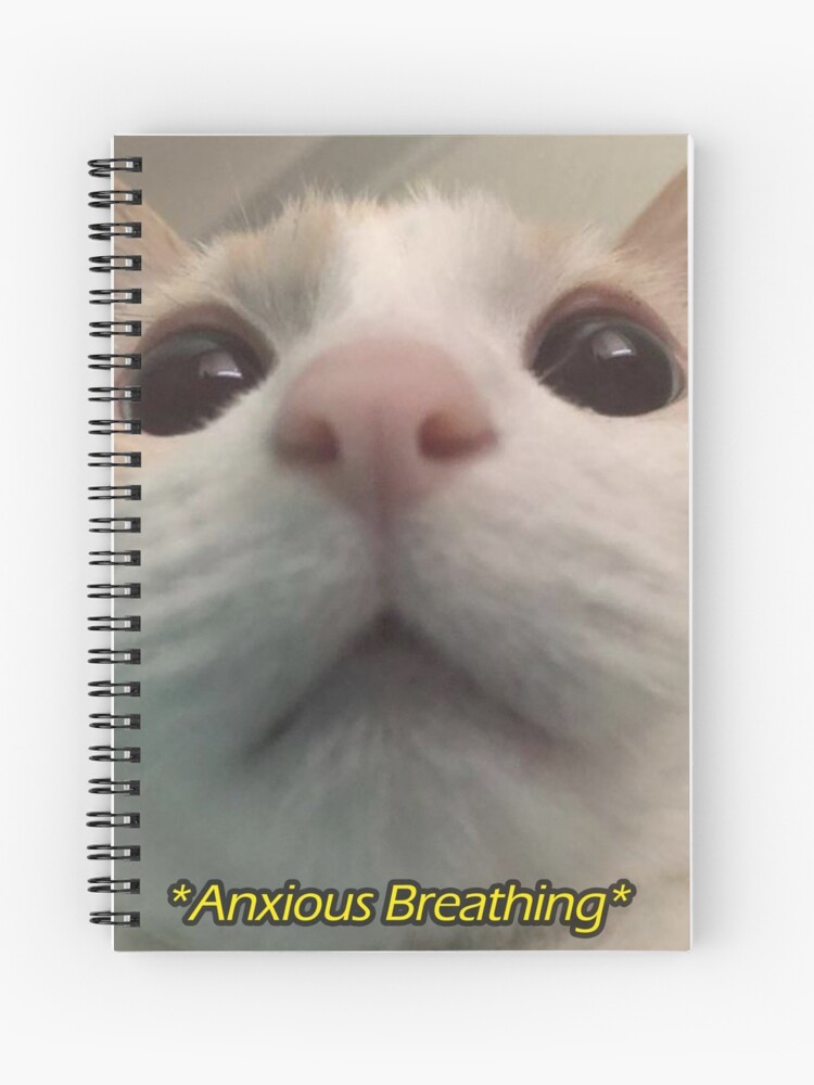 Anxiety Cat Tumblr