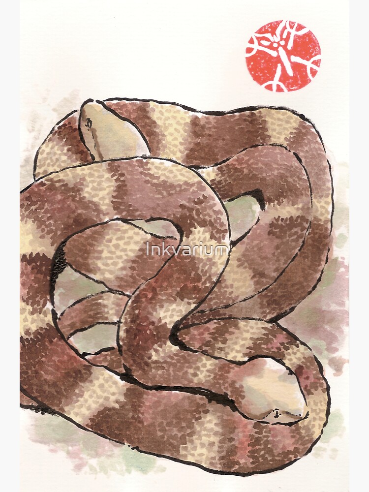 "Copperhead Snakes" Sticker for Sale by Inkvarium | Redbubble