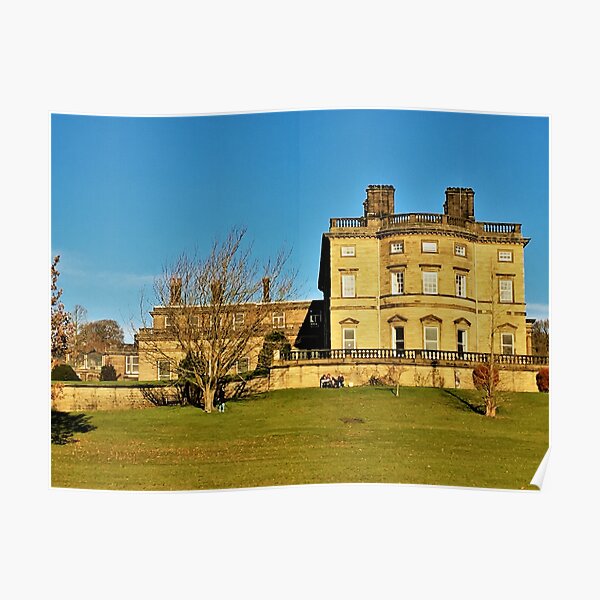 "The Manor " Poster for Sale by HenaHussain2003 | Redbubble