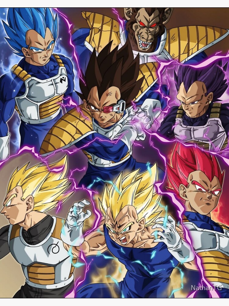 "Vegeta Transformation Collage" Sticker for Sale by NathanTG | Redbubble