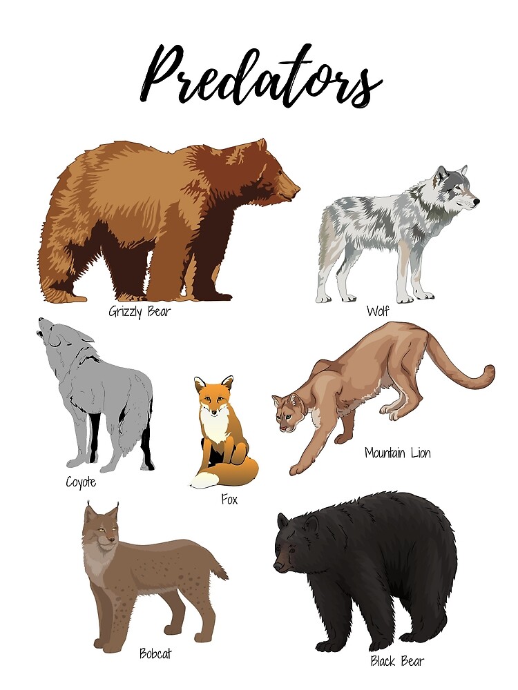 "Predator wild animals" Poster by PrintedPoppy | Redbubble