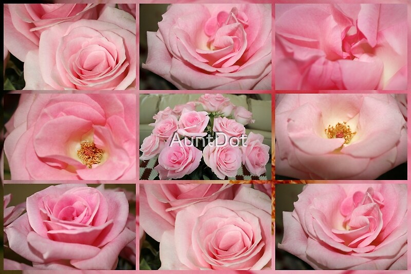 " Pink Rose Collage" by AuntDot | Redbubble