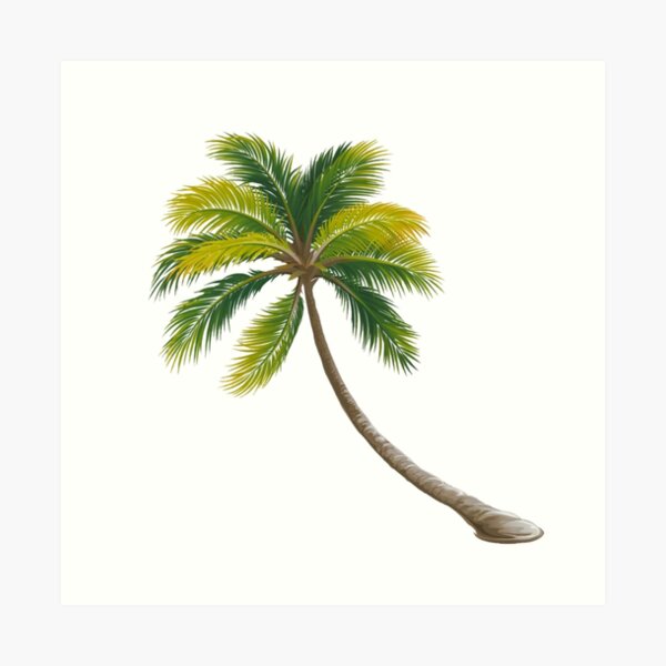 "Coconut tree" Art Print for Sale by hasantha98 | Redbubble