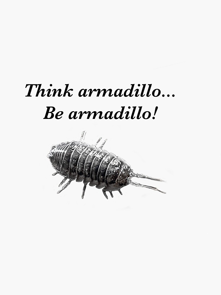 "Roly Poly Pillbug - think armadillo" Sticker for Sale by BugNews ...