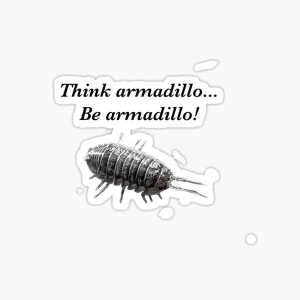 "Roly Poly Pillbug - think armadillo" Sticker for Sale by BugNews ...