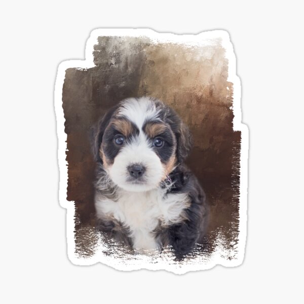 "Tricolor Maltipoo Puppy One" Sticker by fineart2017 | Redbubble