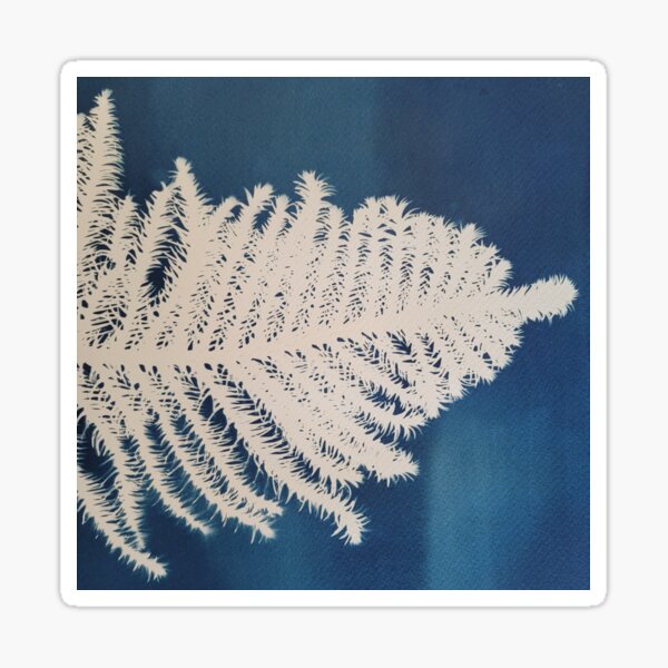 "Norfolk Island Pine Cyanotype at Mooloolaba" Sticker for Sale by ...