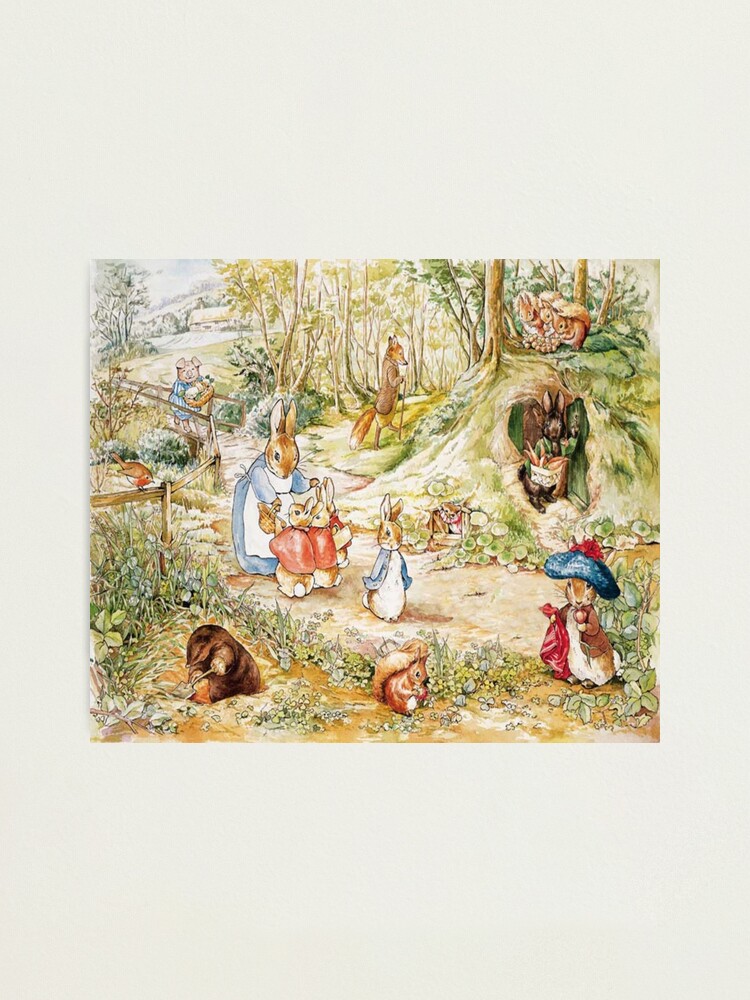 "Beatrix Potter Rabbit Family Illustration "The Tale of Peter Rabbit ...