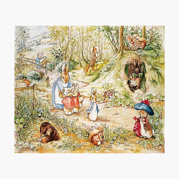"Beatrix Potter Rabbit Family Illustration "The Tale of Peter Rabbit ...