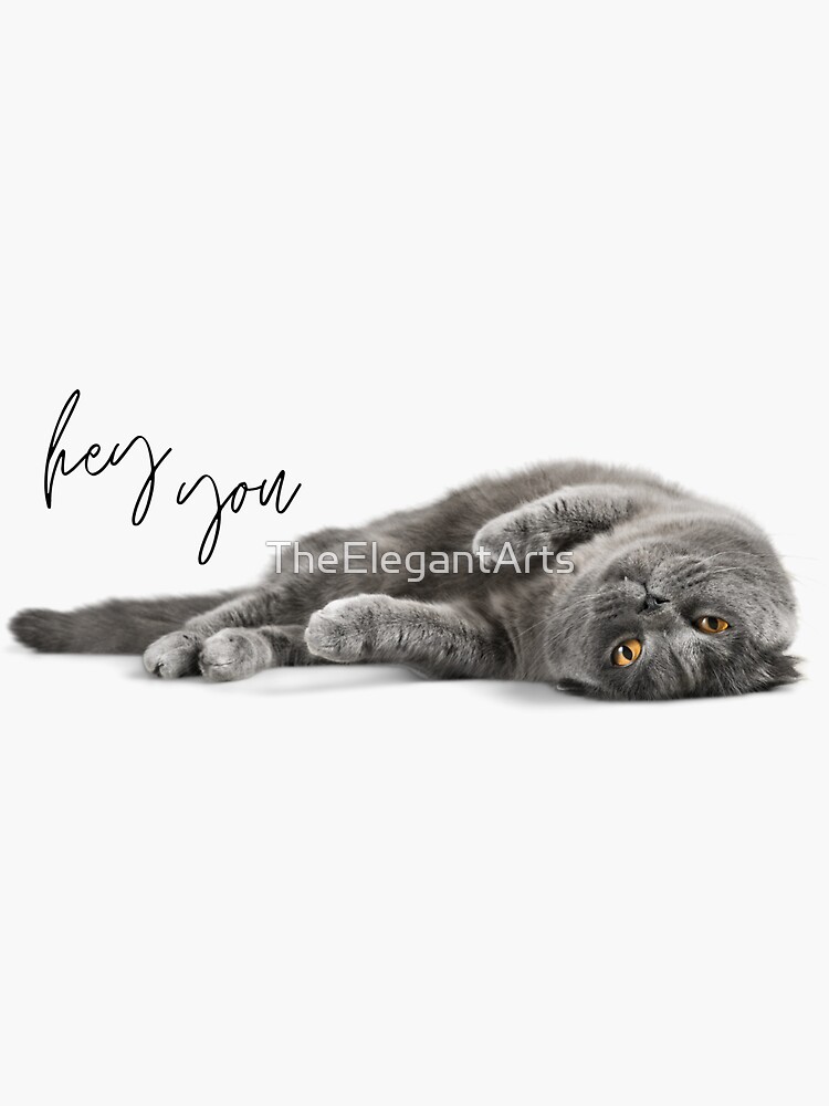 "Cat Says Hey, Cat Sayes Hey Funny Design" Sticker for Sale by ...