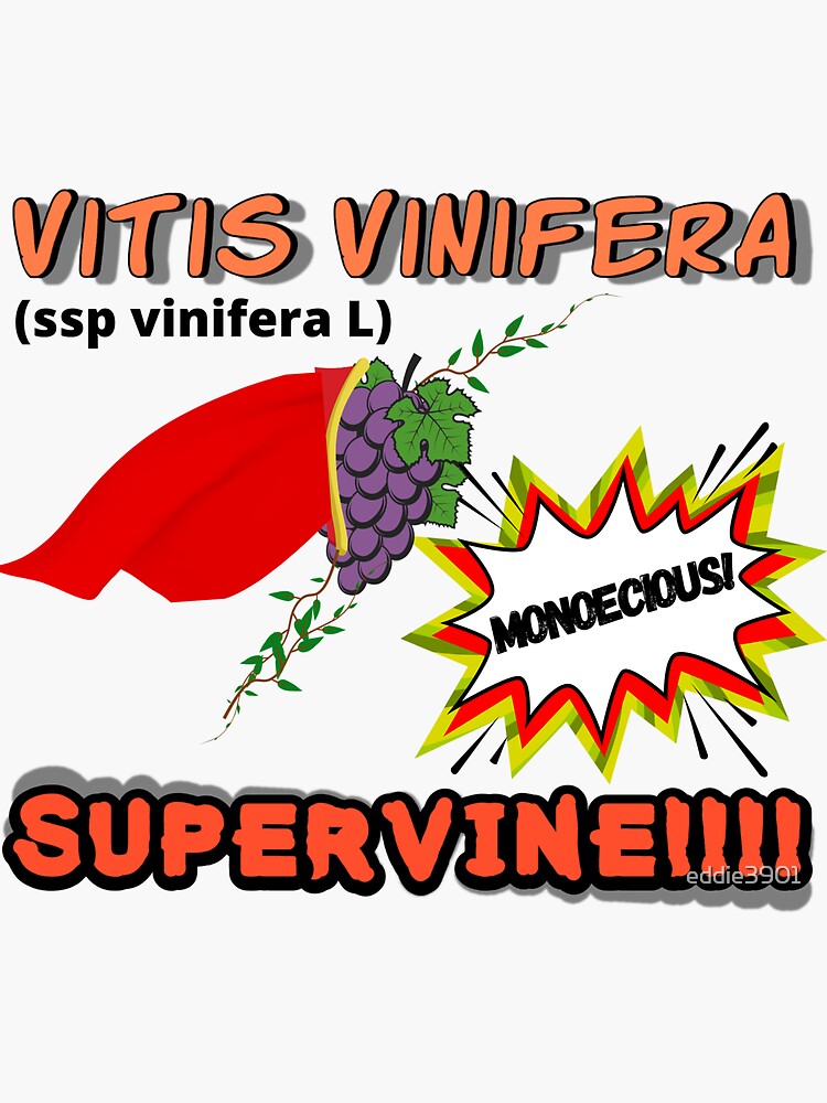 "Vitis Vinifera: Supervine!!" Sticker by eddie3901 | Redbubble