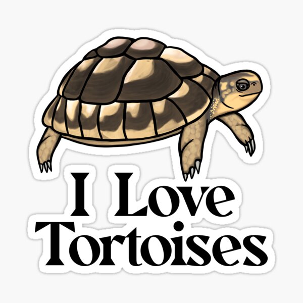 I Love Tortoises For Tortoise Lovers Black Sticker For Sale By Mochi