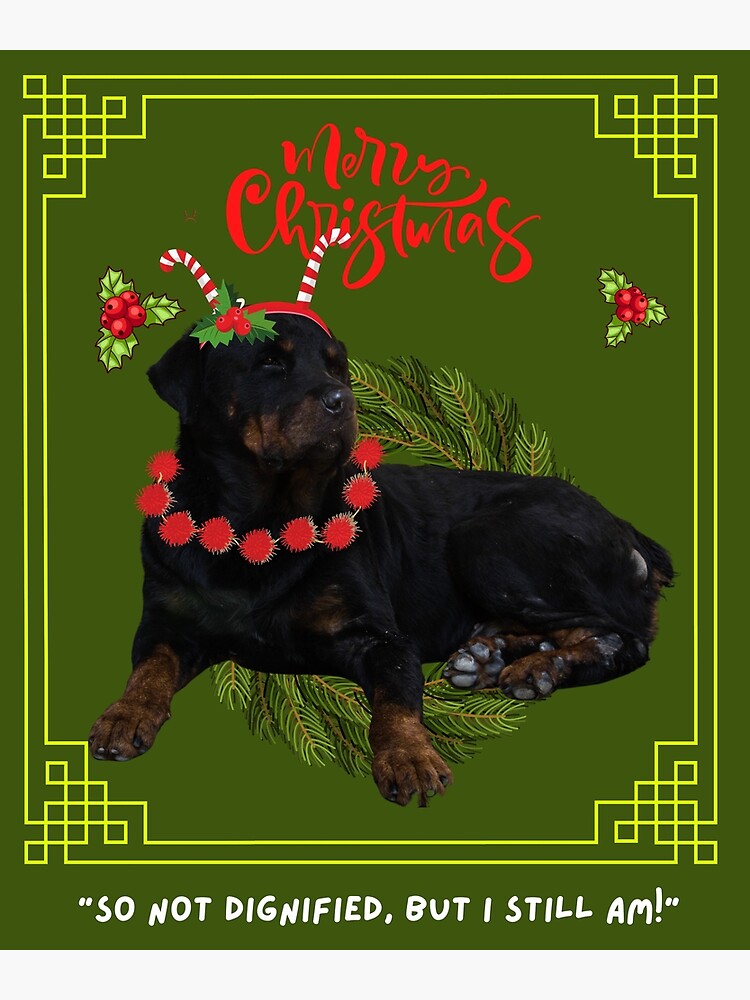 Póster «Foto Cachorros Cranky Canines Grumpy Rottweiler Tarjeta de ...