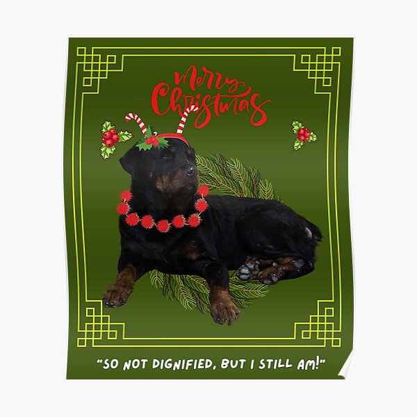 Póster «Foto Cachorros Cranky Canines Grumpy Rottweiler Tarjeta de ...
