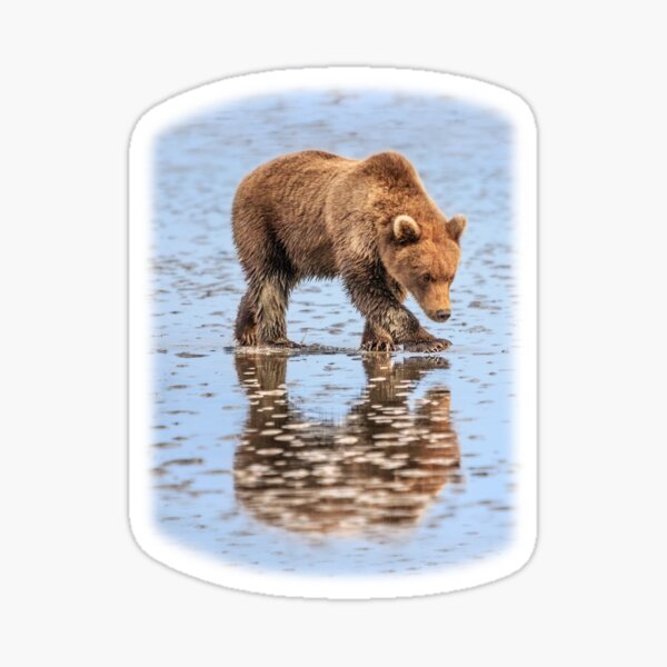 "Self Reflection" Sticker by owedtonature | Redbubble