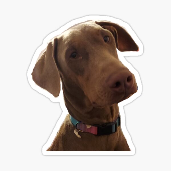 Herdin-Animals Shop | Redbubble