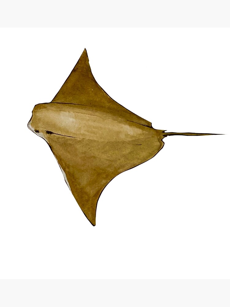 "Cownose Ray" Poster for Sale by Junegirlart | Redbubble