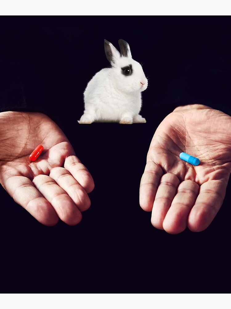 White Rabbit decides between blue pill red pill Premium Matte Vertical ...