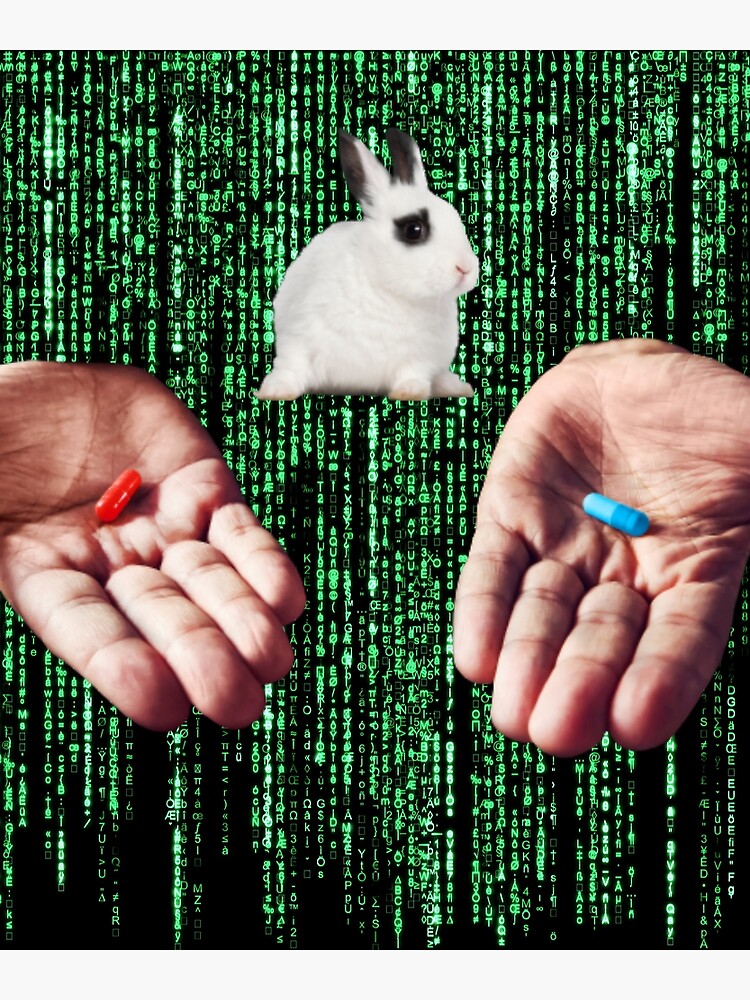 White Rabbit decides between blue pill red pill #2 Premium Matte ...