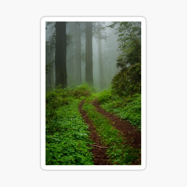 "Into the Mist" Sticker for Sale by GeorgeBuxbaum | Redbubble