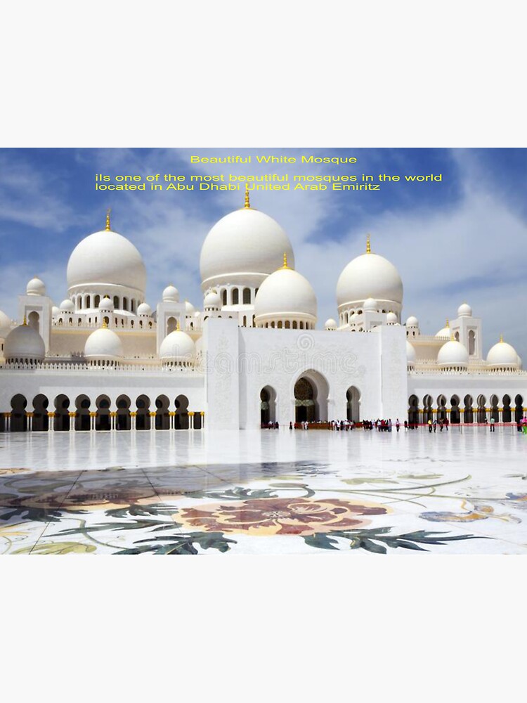 Beautiful Mosques In Water