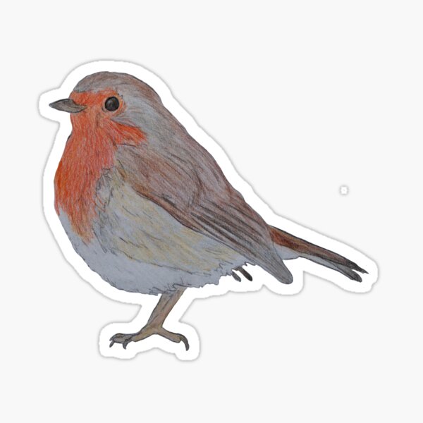 "Robin" Sticker by TreeTopTogs | Redbubble
