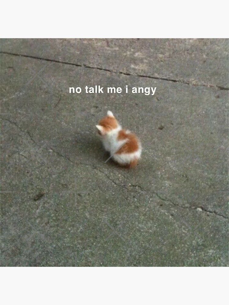 "No talk me i angy CAT MEME" Sticker for Sale by Kyiomi | Redbubble