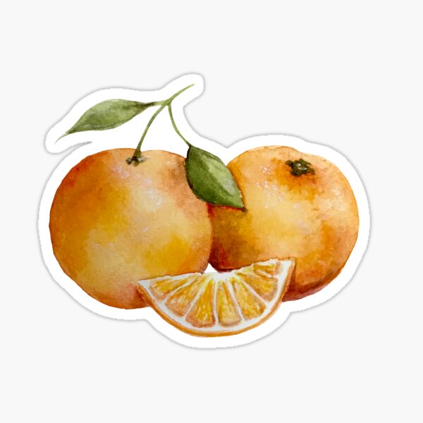 "Citrus" Sticker for Sale by greteldraws | Redbubble