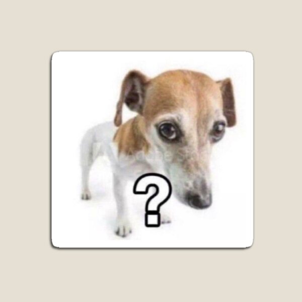 Imán «? signo de interrogación perro meme» de BoomerStickers | Redbubble