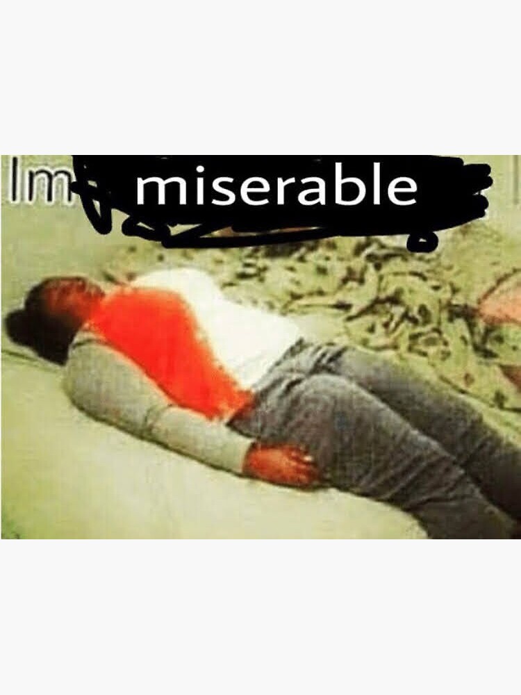 "Im miserable meme sticker" Sticker by BoomerStickers | Redbubble