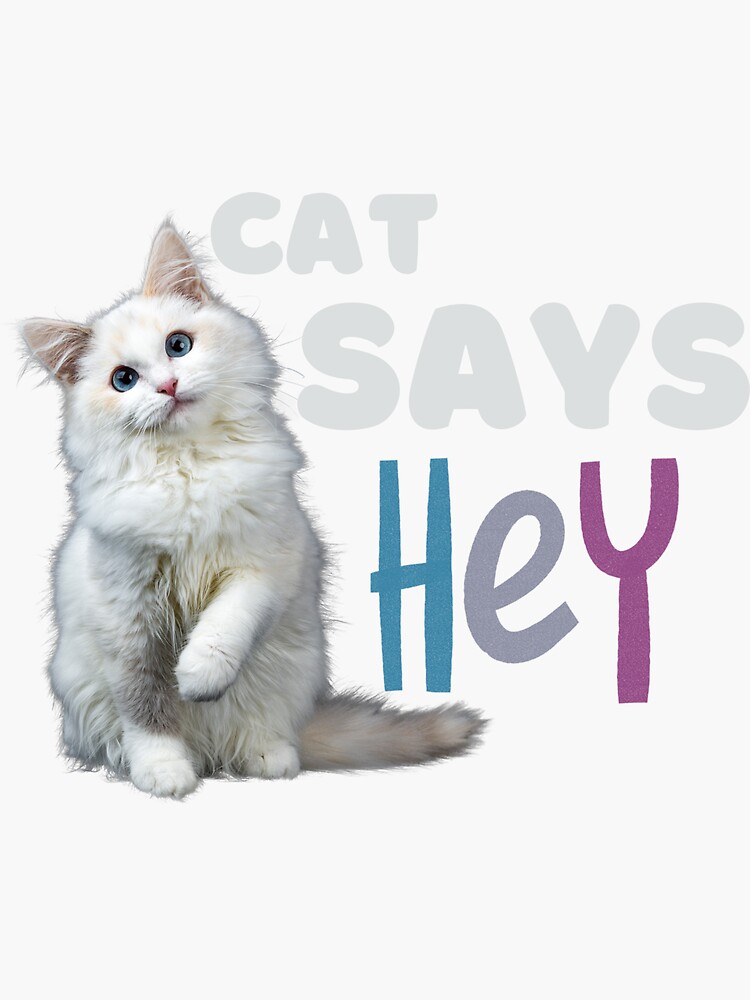 "Cat Says Hey" Sticker by RouaniGraphics | Redbubble