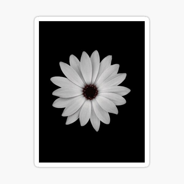 "black flower" Sticker by Takiyou | Redbubble
