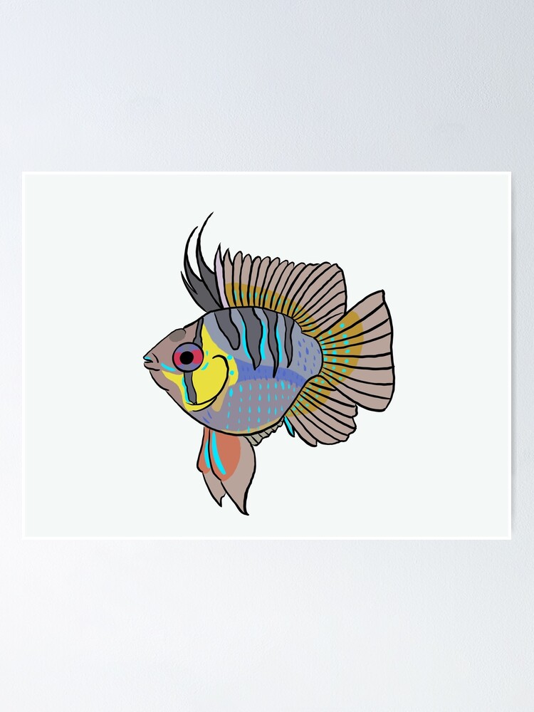 "Balloon ram fish " Poster for Sale by Woodcock99 | Redbubble