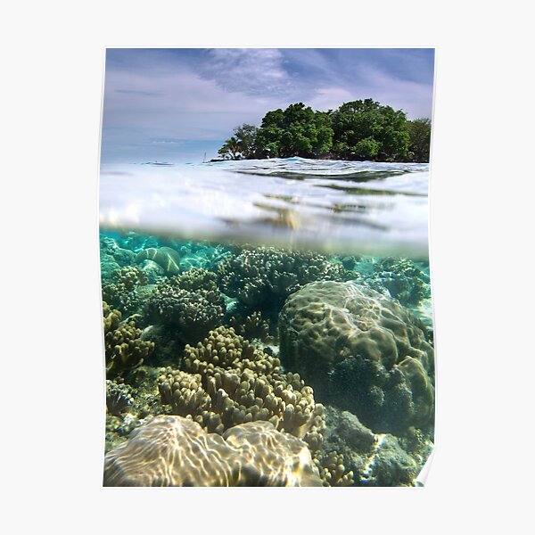 "Black Coral Island - Pohnpei, Micronesia" Poster for Sale by Alex ...