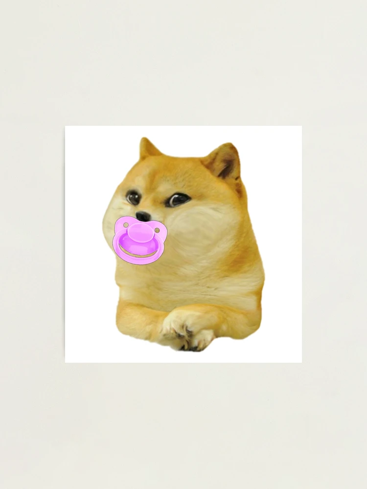Baby Doge Memes