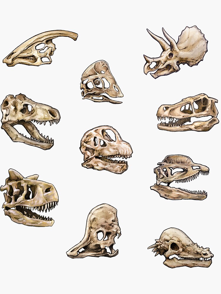 "Dinosaur Skull Stickers Set Sticker" Sticker by ChristinaScheb | Redbubble