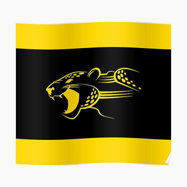 "Cheetah Flag of Ajuran Somalia" Poster by Freihalt | Redbubble