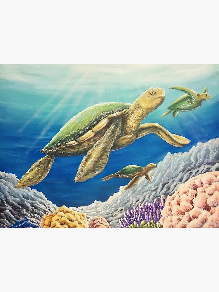 Mom And Baby Sea Turtles Amazon.com: Mother And Baby Turtle : Handmade