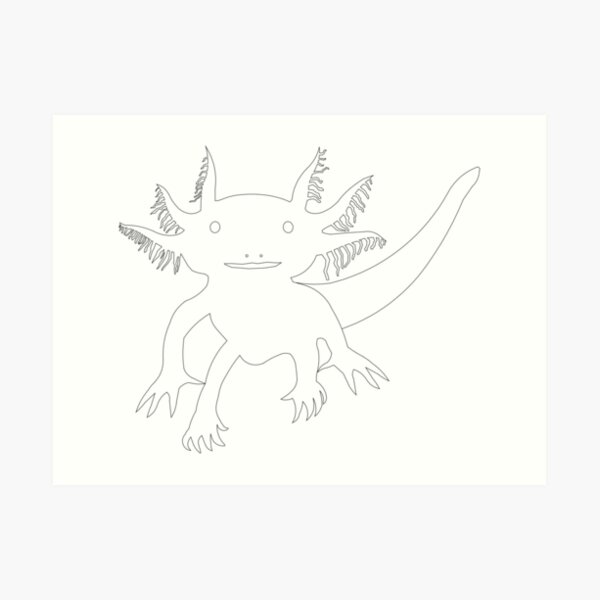 "Axolotl Line Drawing" Art Print for Sale by JustBenGolden | Redbubble